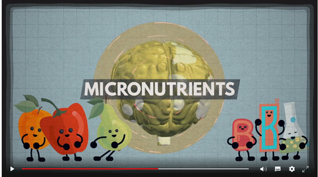 How the Food You Eat Affects Your Brain